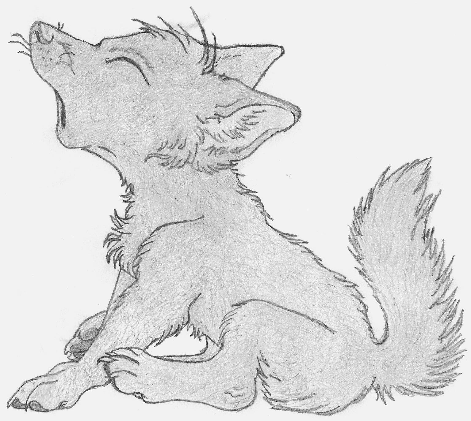 lille ulv — Trafo.no, nordens største samfunn for unge kunstnere.